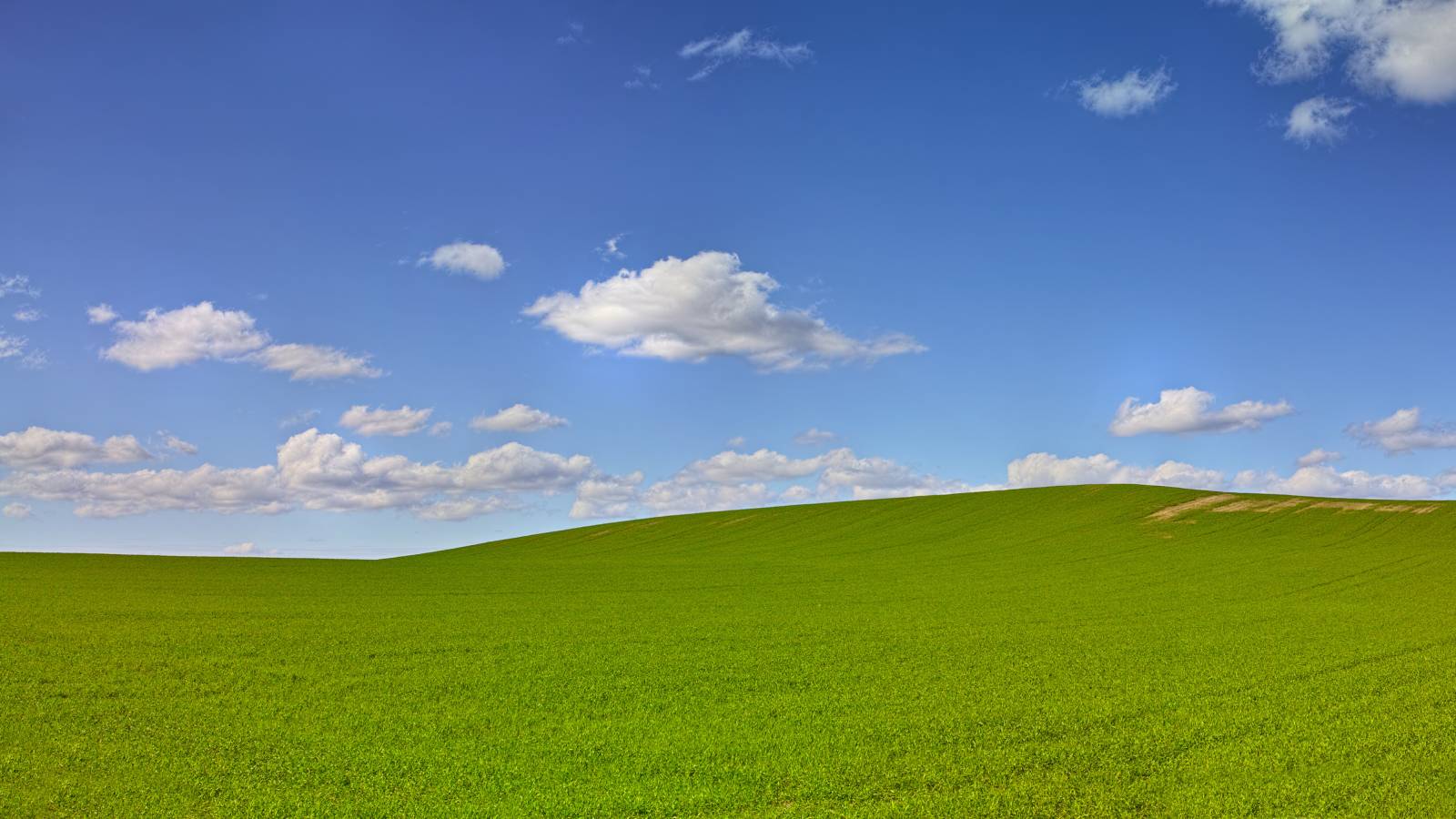 Windows XP: historia, przegląd funkcji i alternatyw - BYOP.pl